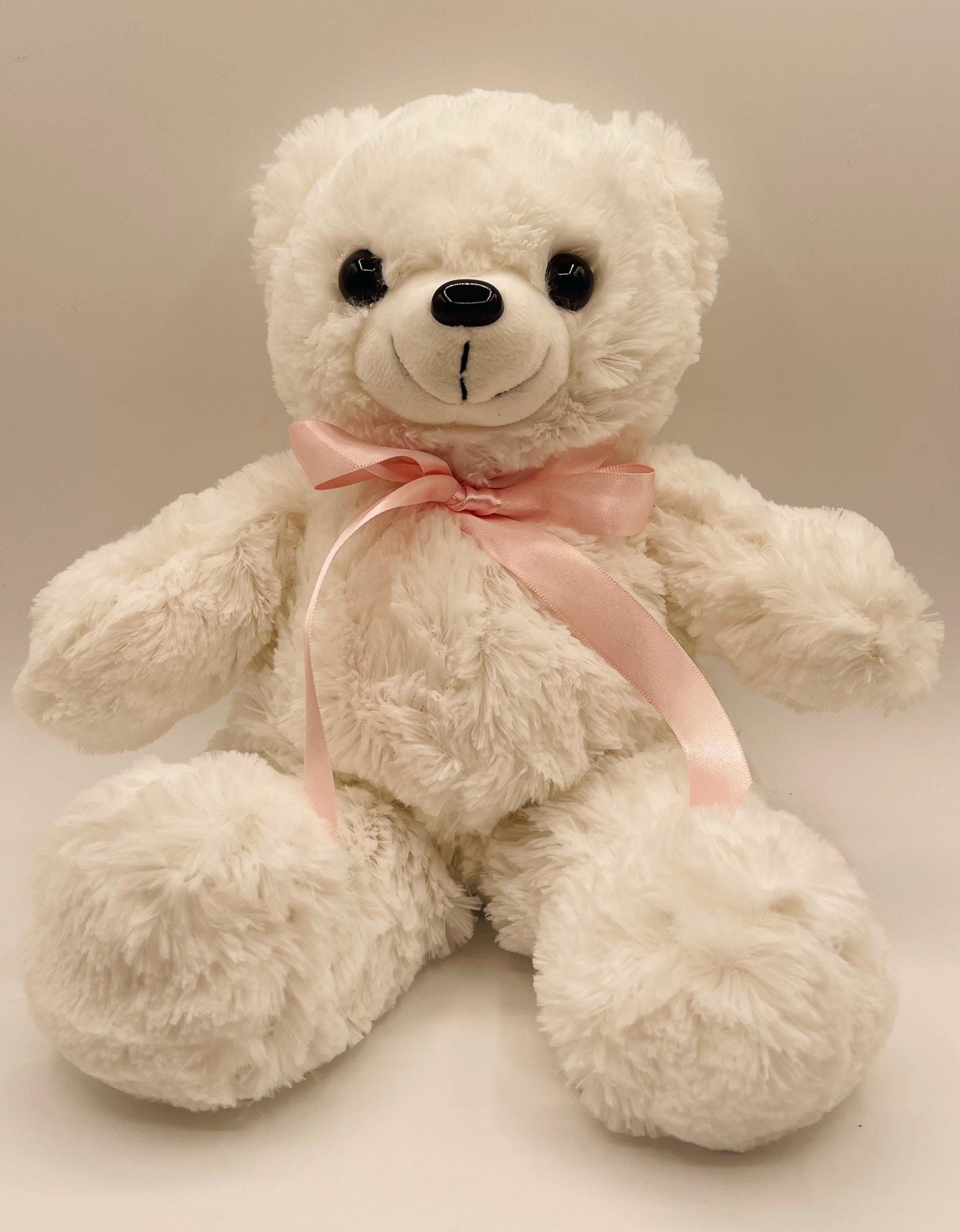 Recordable Teddy Bear Stuffed Animal: Voice Message Keepsake Gift - Etsy