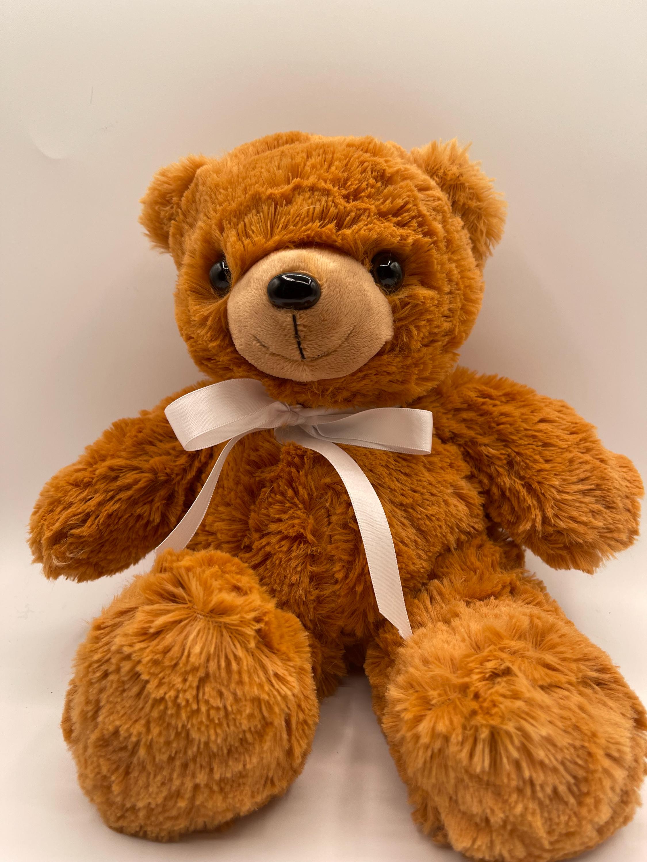 Recordable Teddy Bear Stuffed Animal: Voice Message Keepsake Gift - Etsy