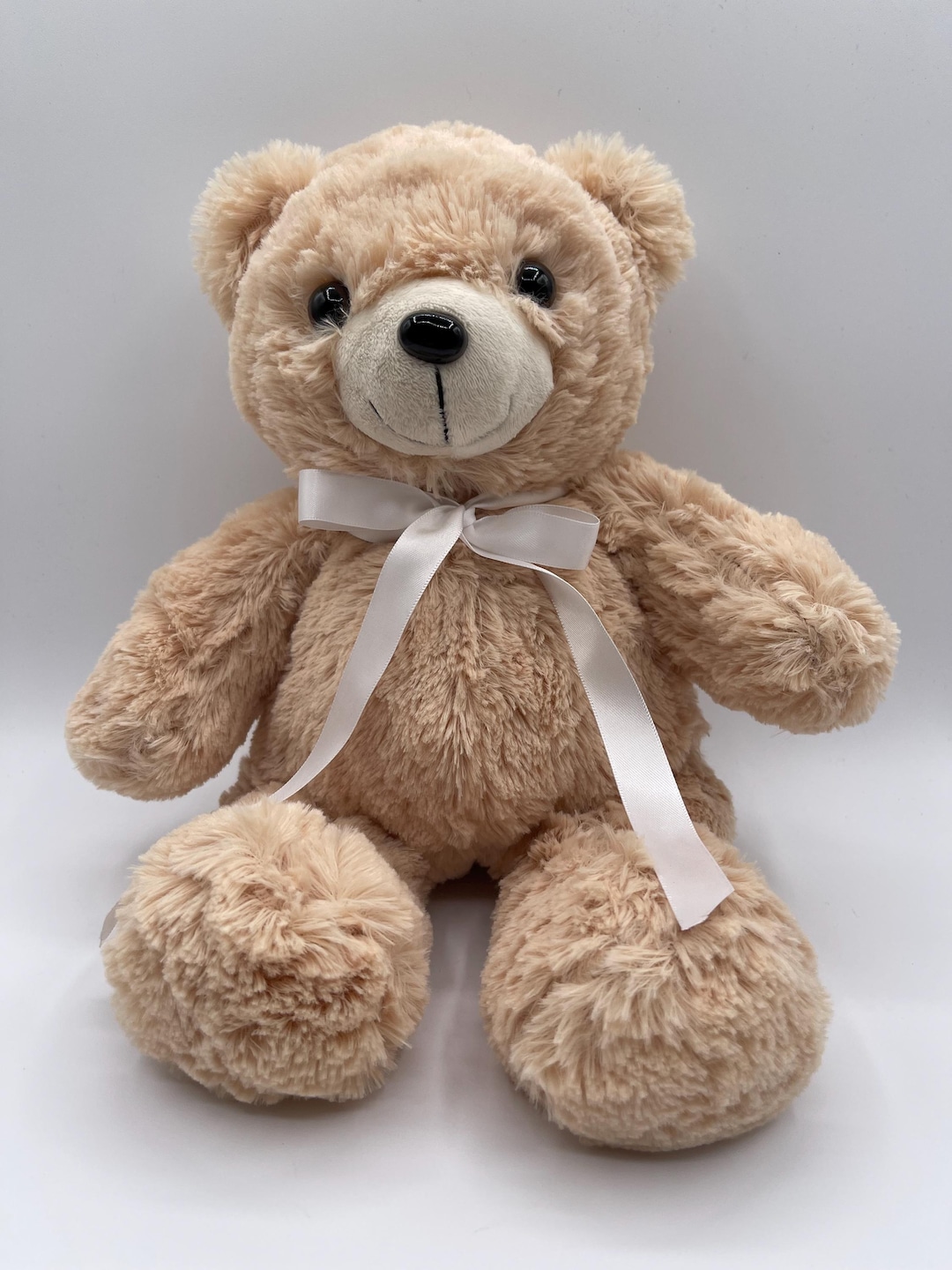 Recordable Teddy Bear Stuffed Animal: Voice Message Keepsake Gift - Etsy