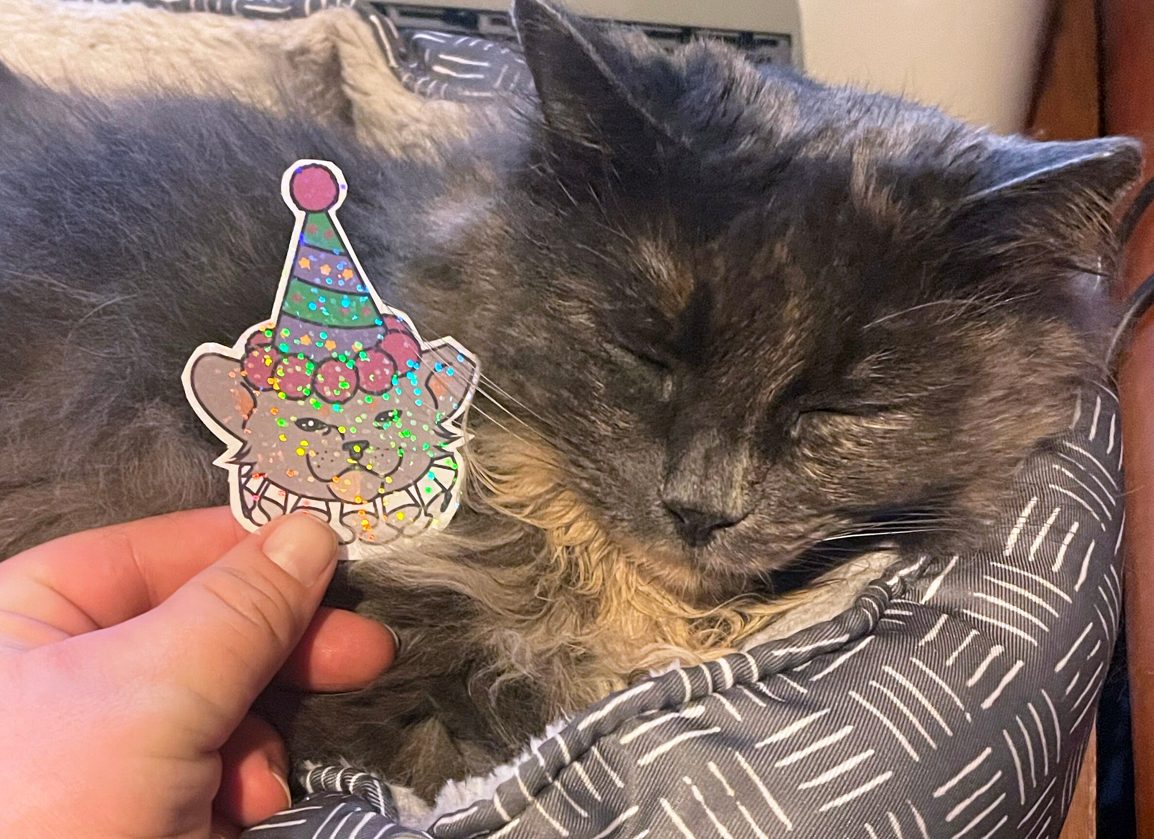 Clown Cat Stickers CUSTOMIZED | for Cat Lovers | 3" Waterproof Glossy ...