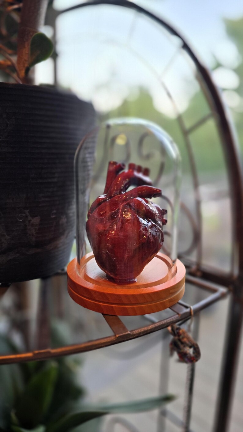 Hand-painted 3D Printed Anatomical Heart in Glass Cloche: Gothic ...