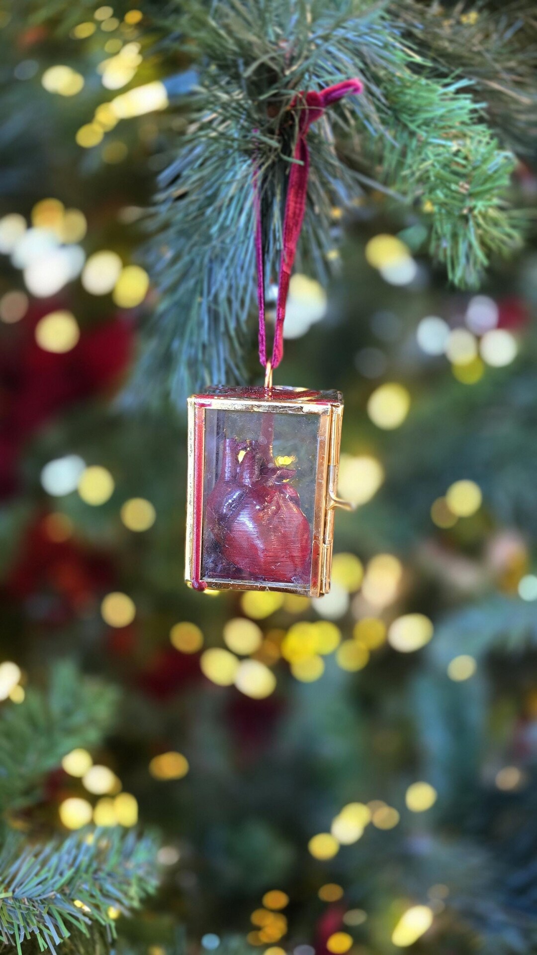 LIMITED STOCK -anatomical Human Heart Glass Box Ornament - 3D Printed ...