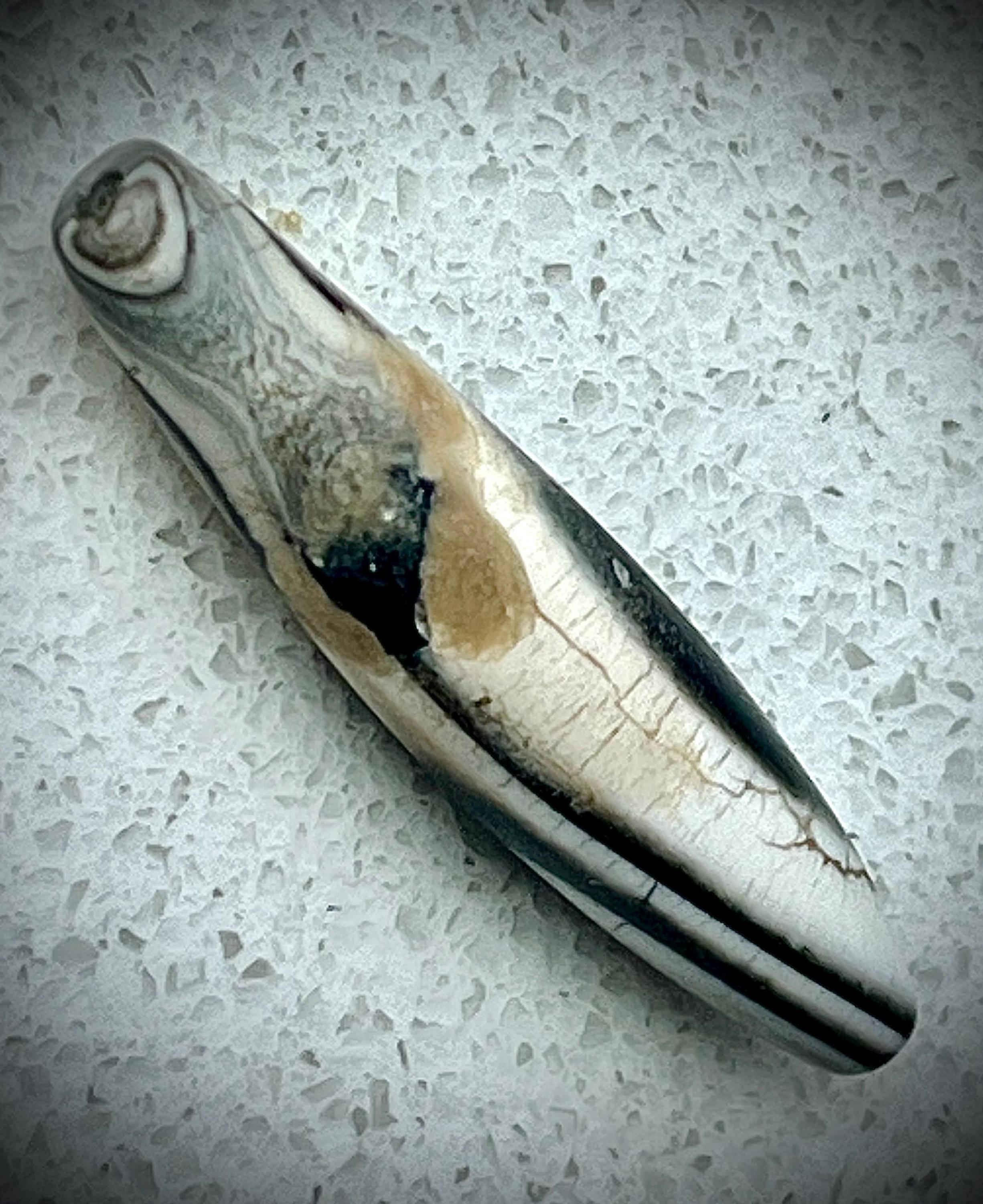 Exceptionally Rare, Neolithic (~8000 to 5000 Years Old) Banded Jasper ...