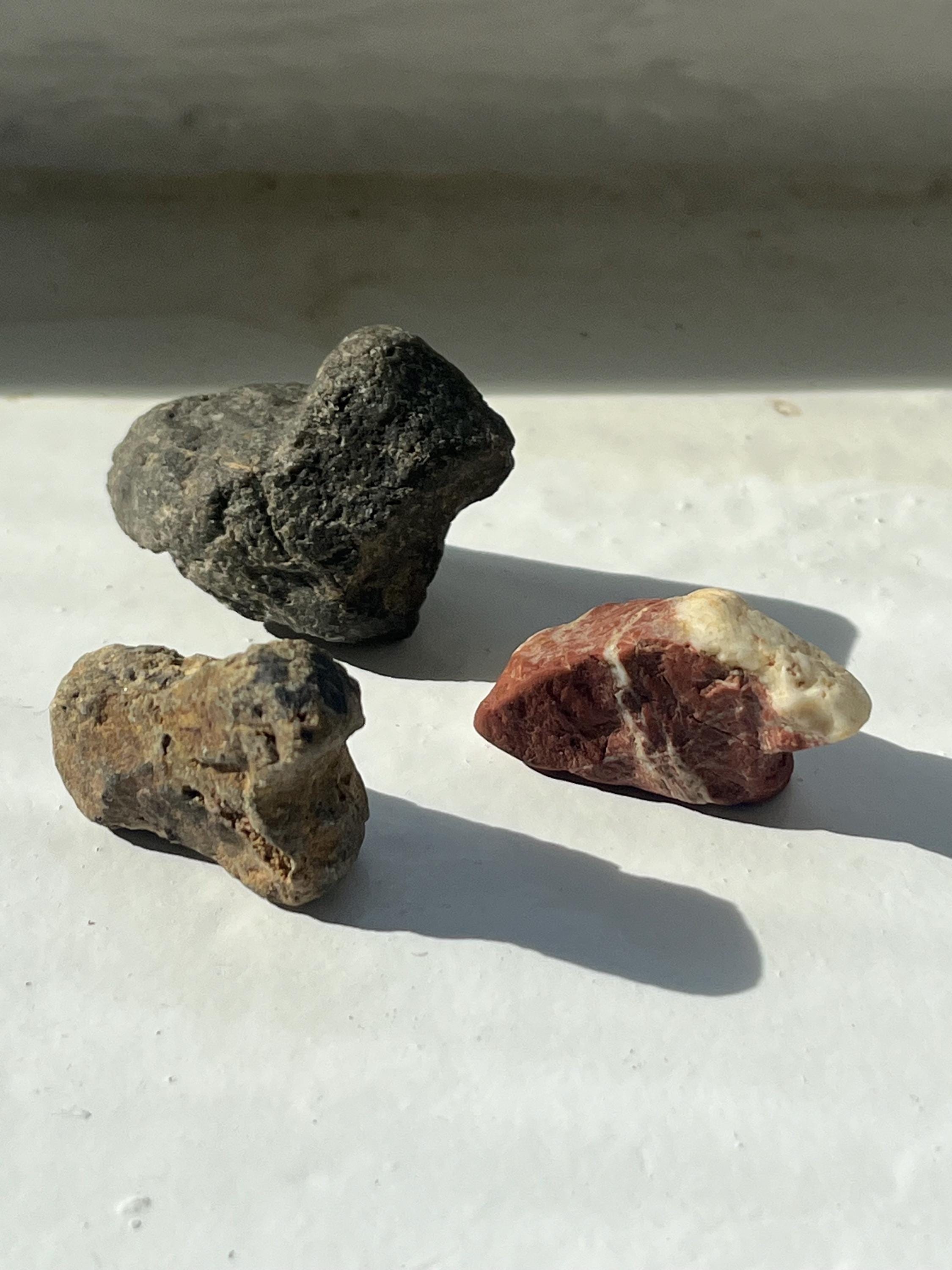 Set of Theee Paleolithic North American Animal (zoomorphic) Carved ...
