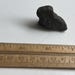 Set of Theee Paleolithic North American Animal (zoomorphic) Carved ...
