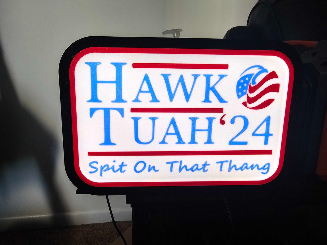 Hawk Tuah '24 Light Box - Etsy