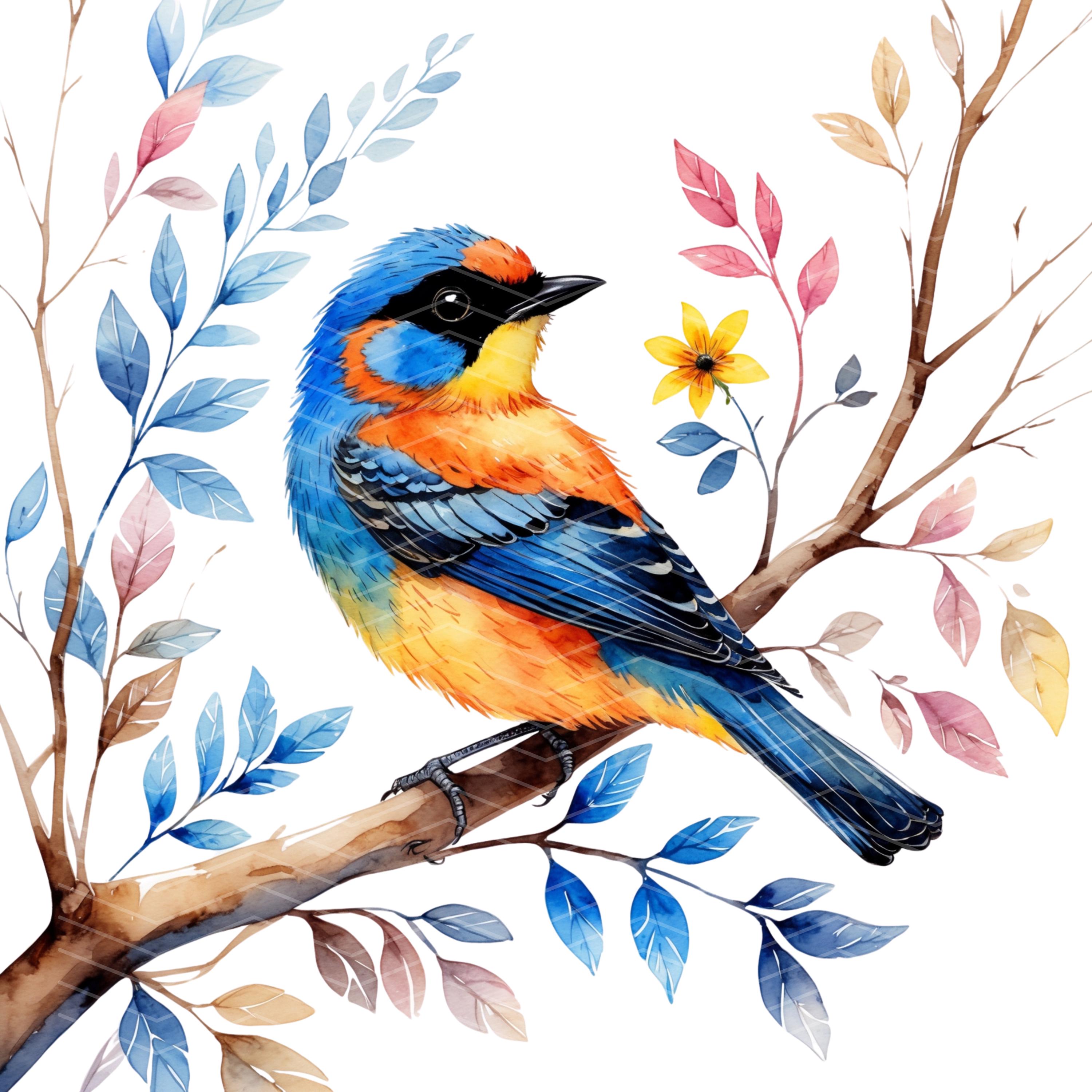 8 Bird Clipart Set JPG & PNG Images, Digital Download - Etsy