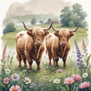 8 Highland Cow Clipart Set JPG Images, Digital Download - Etsy