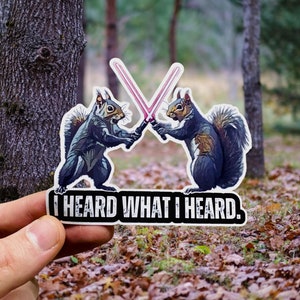 funny squirrels fighting