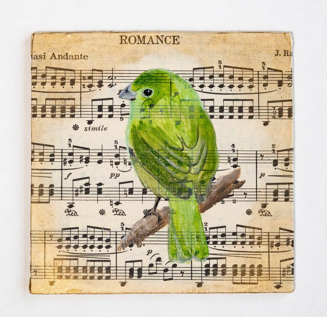 Green Bird Art Print on Vintage Sheet Music, Small Wall Decor - Etsy