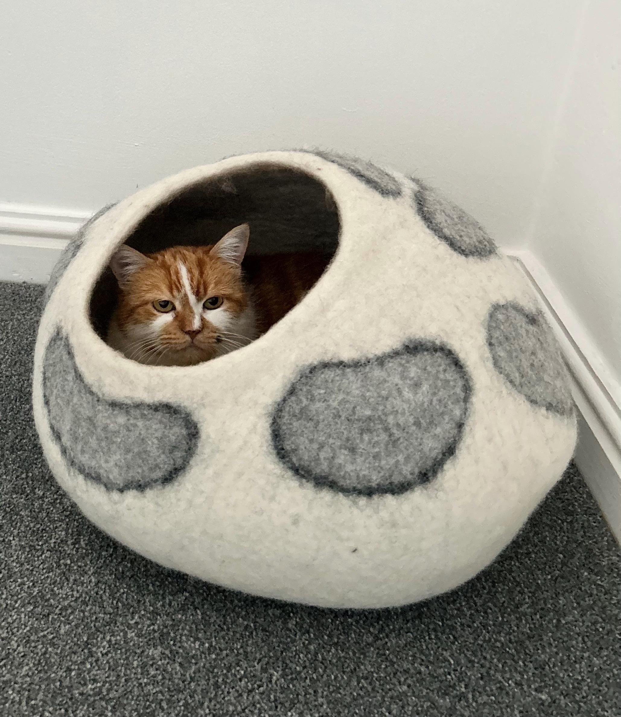 Felt Wool Cat House | Cat Bed | 44 Cm Cat Home | Felt Wool Kitten Cave ...