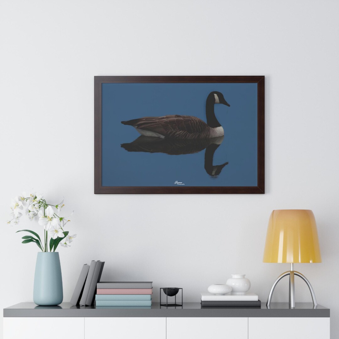 Wading Goose Fine Art Photography Framed Poster - Etsy