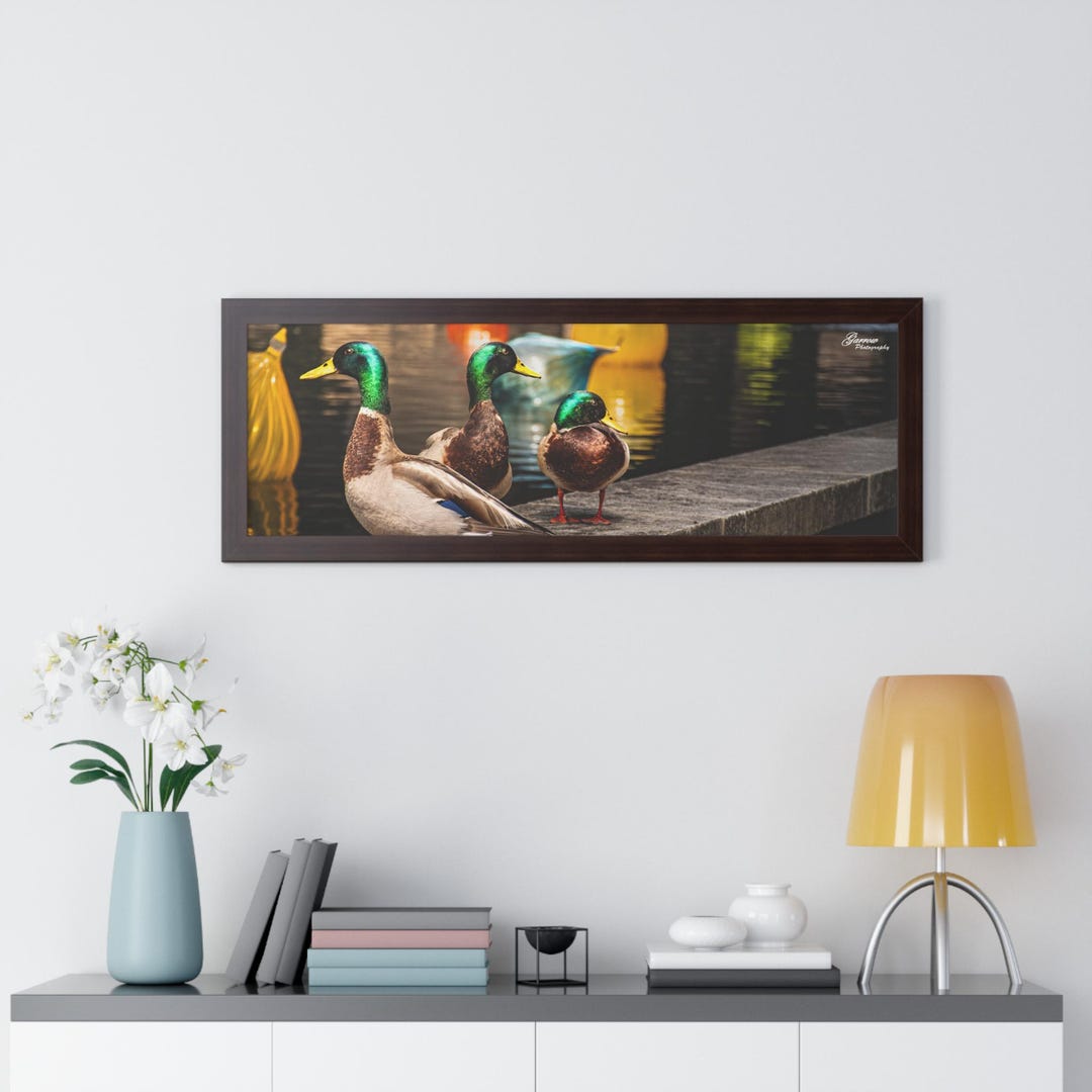 Mallard Duck Trio Fine Art Photography Framed Poster 36x12 - Etsy