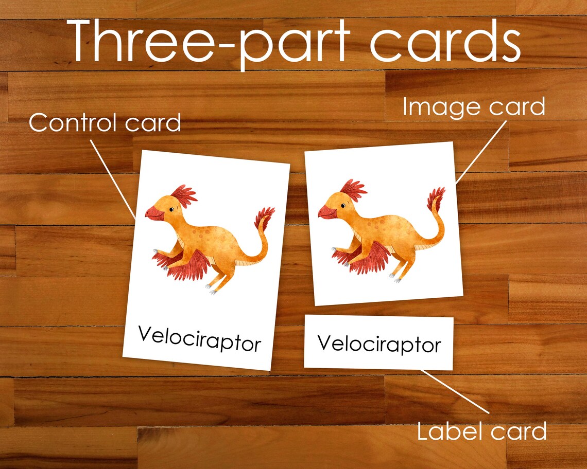 Dinosaurs Flashcards | Montessori Nomenclature Cards | Three Part Cards ...