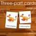 Dinosaurs Flashcards | Montessori Nomenclature Cards | Three Part Cards ...