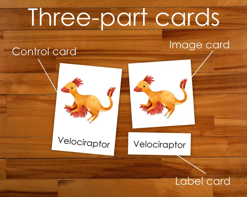 Dinosaurs Flashcards | Montessori Nomenclature Cards | Three Part Cards ...