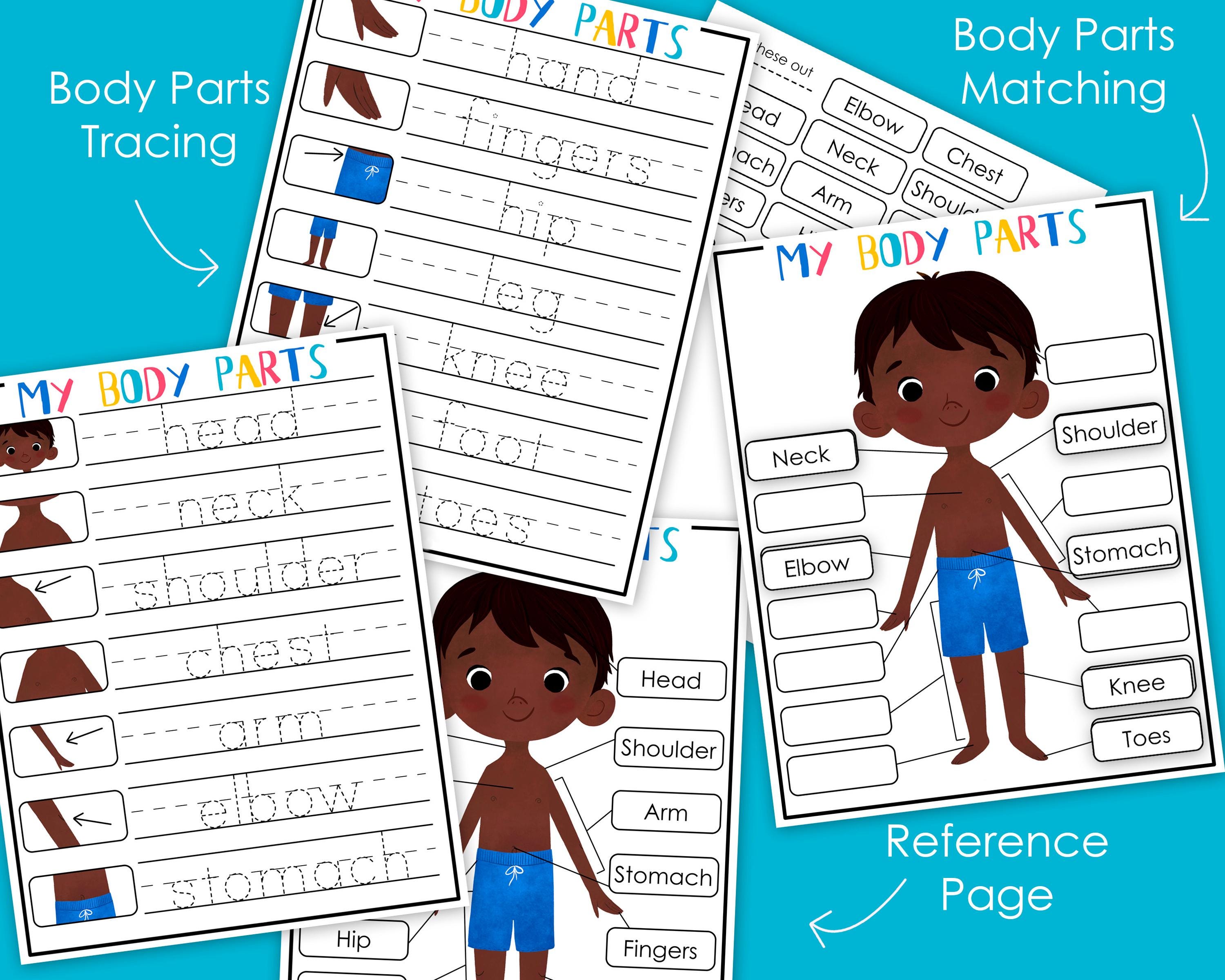 Body Parts Printable Preschool Activity | Toddler Busy Book Science ...
