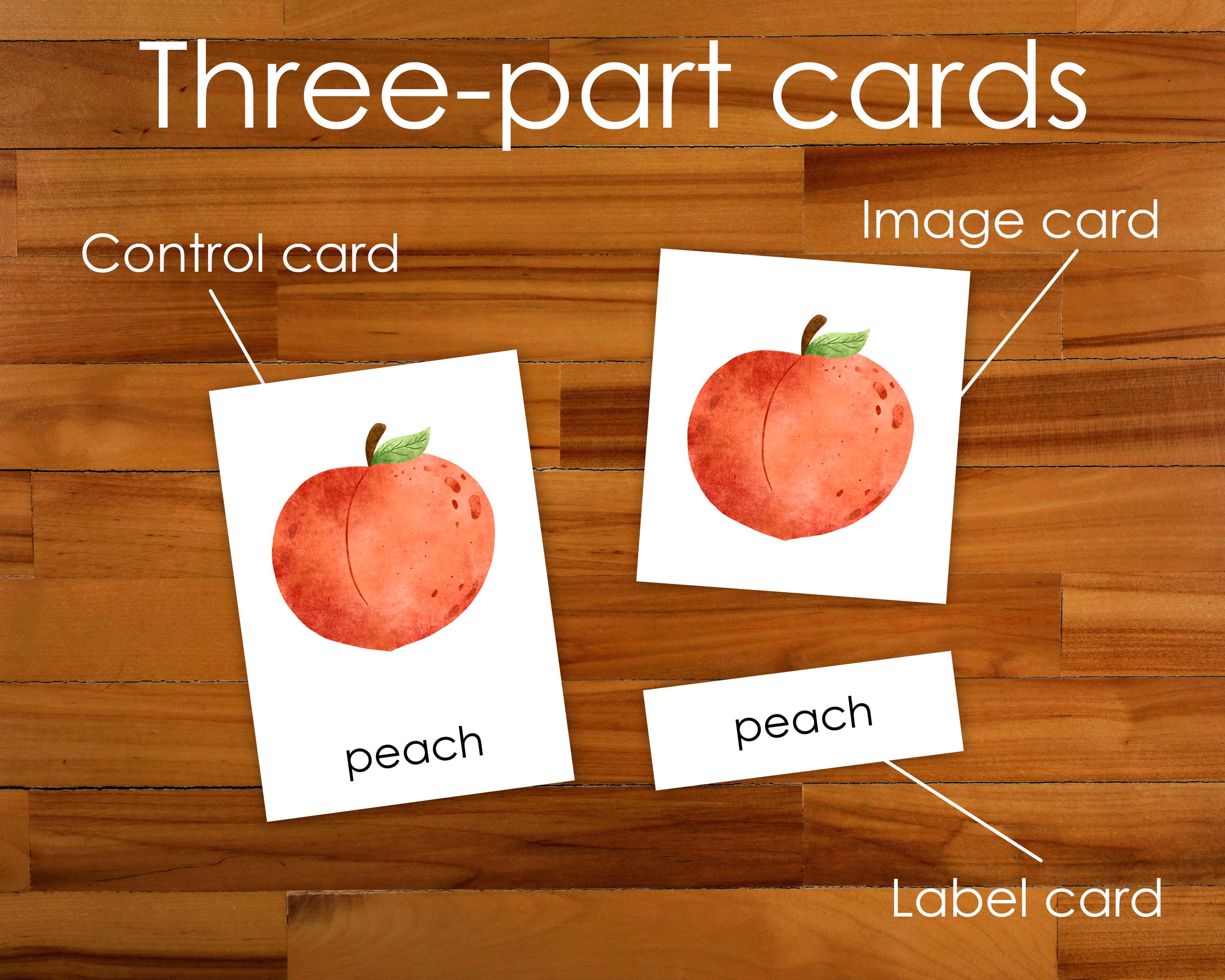 Fruits Flashcards | Montessori Nomenclature Cards | Three Part Cards ...