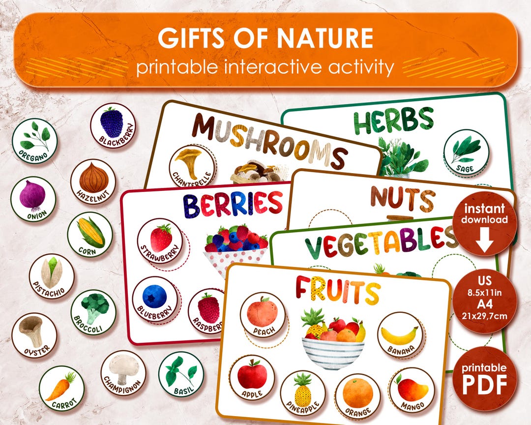 Gifts of Nature Food Groups Sorting Activity | Preschool Worksheet ...