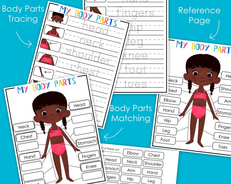 Body Parts Printable Preschool Activity | Toddler Busy Book Science ...