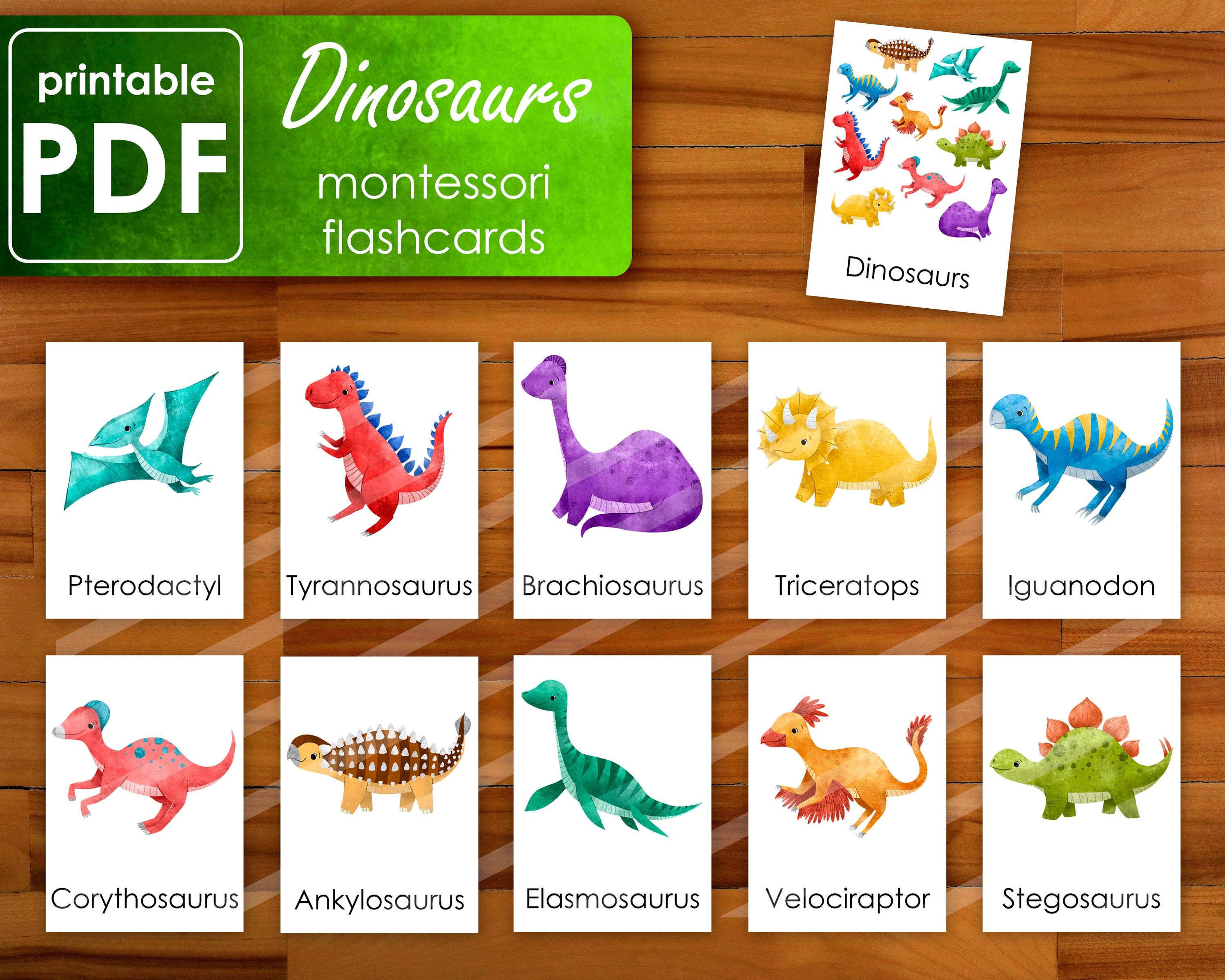 Dinosaurs Flashcards | Montessori Nomenclature Cards | Three Part Cards ...