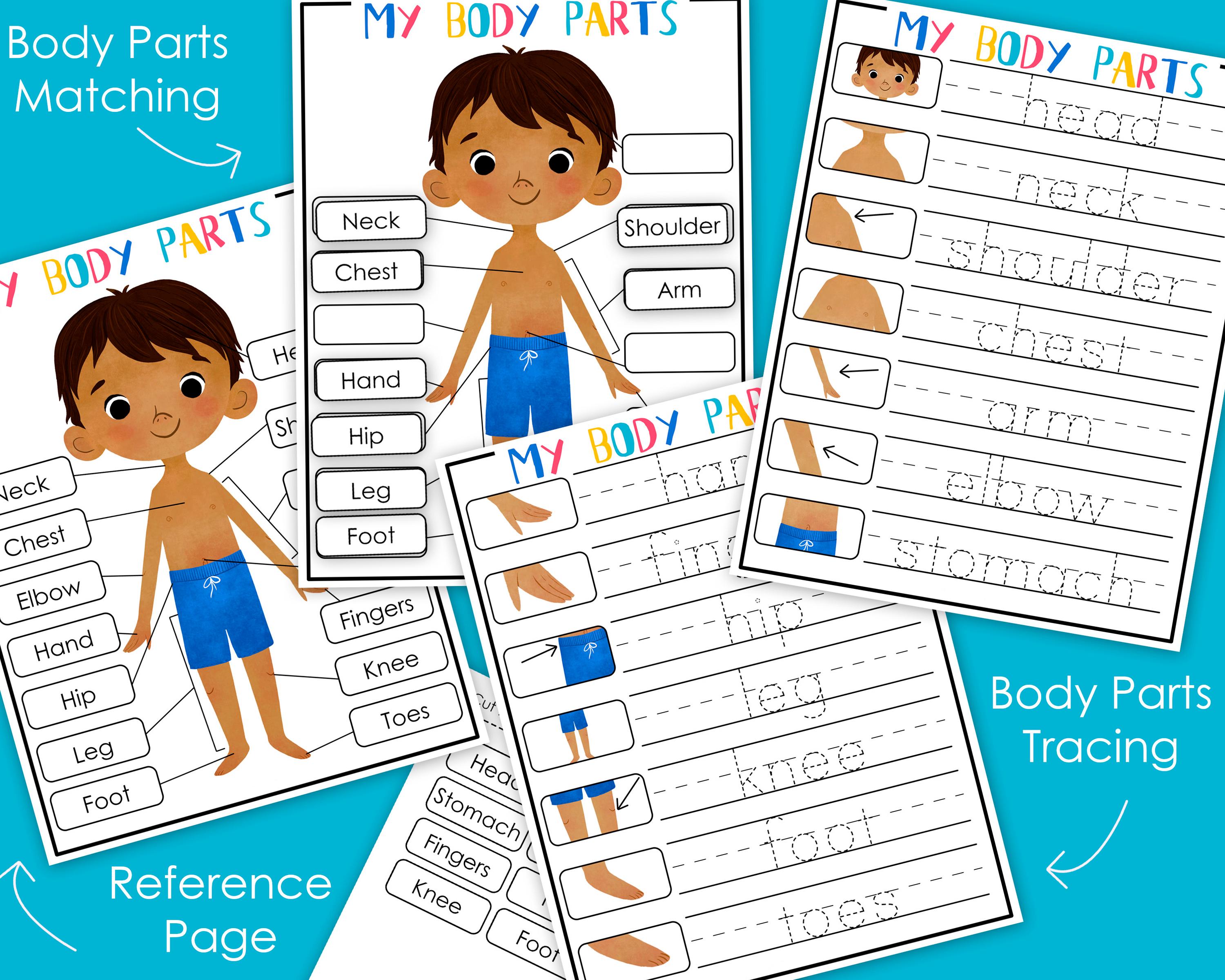 Body Parts Printable Preschool Activity | Toddler Busy Book Science ...