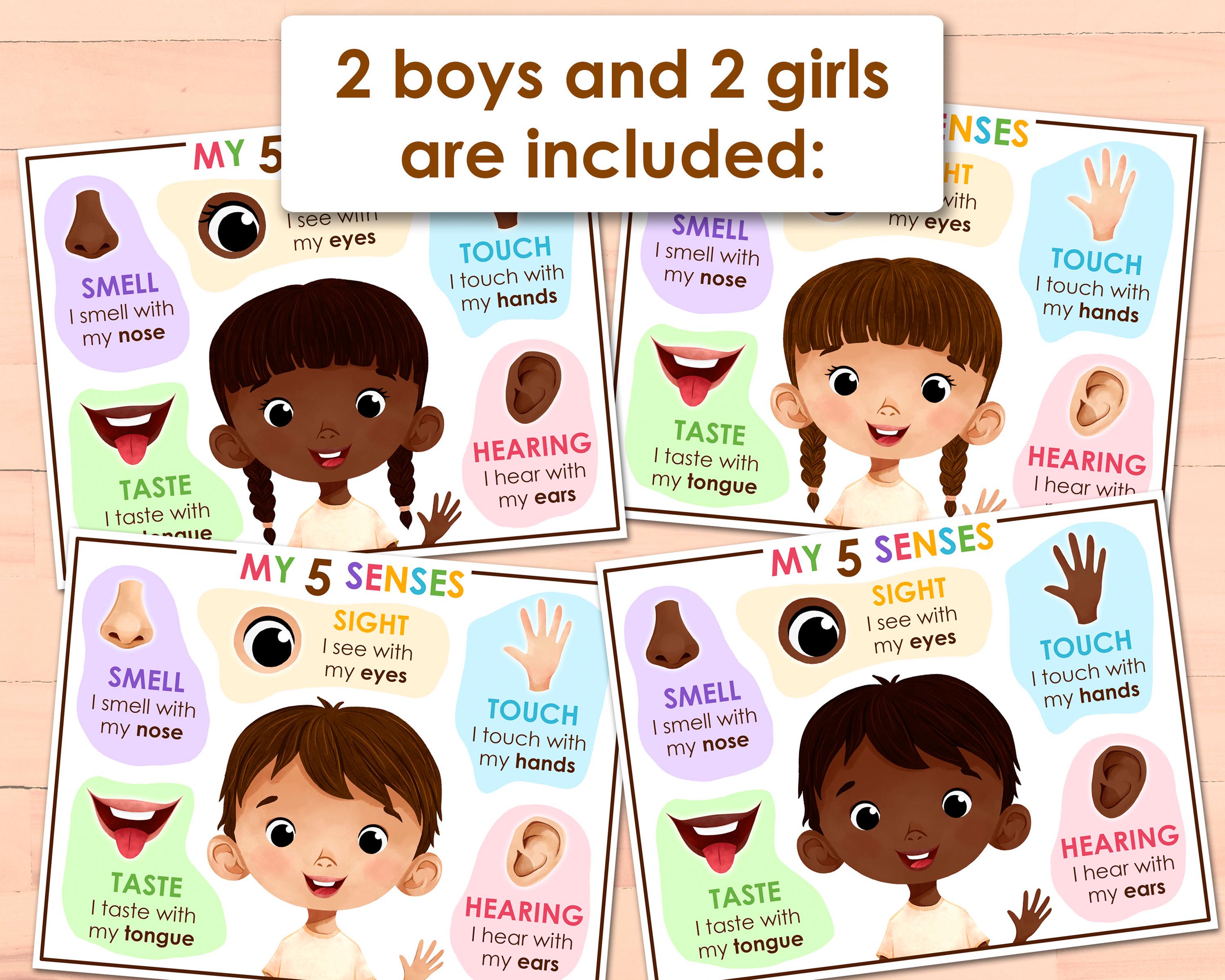 My 5 Senses Printable Pack | 5 Human Senses Preschool Learning Game ...