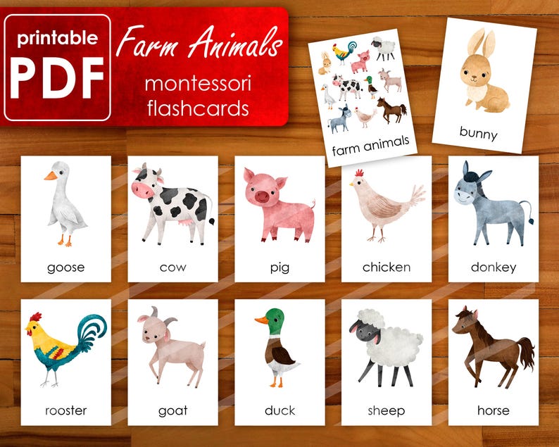 Farm Animals Flashcards | Montessori Nomenclature Cards | Three Part ...