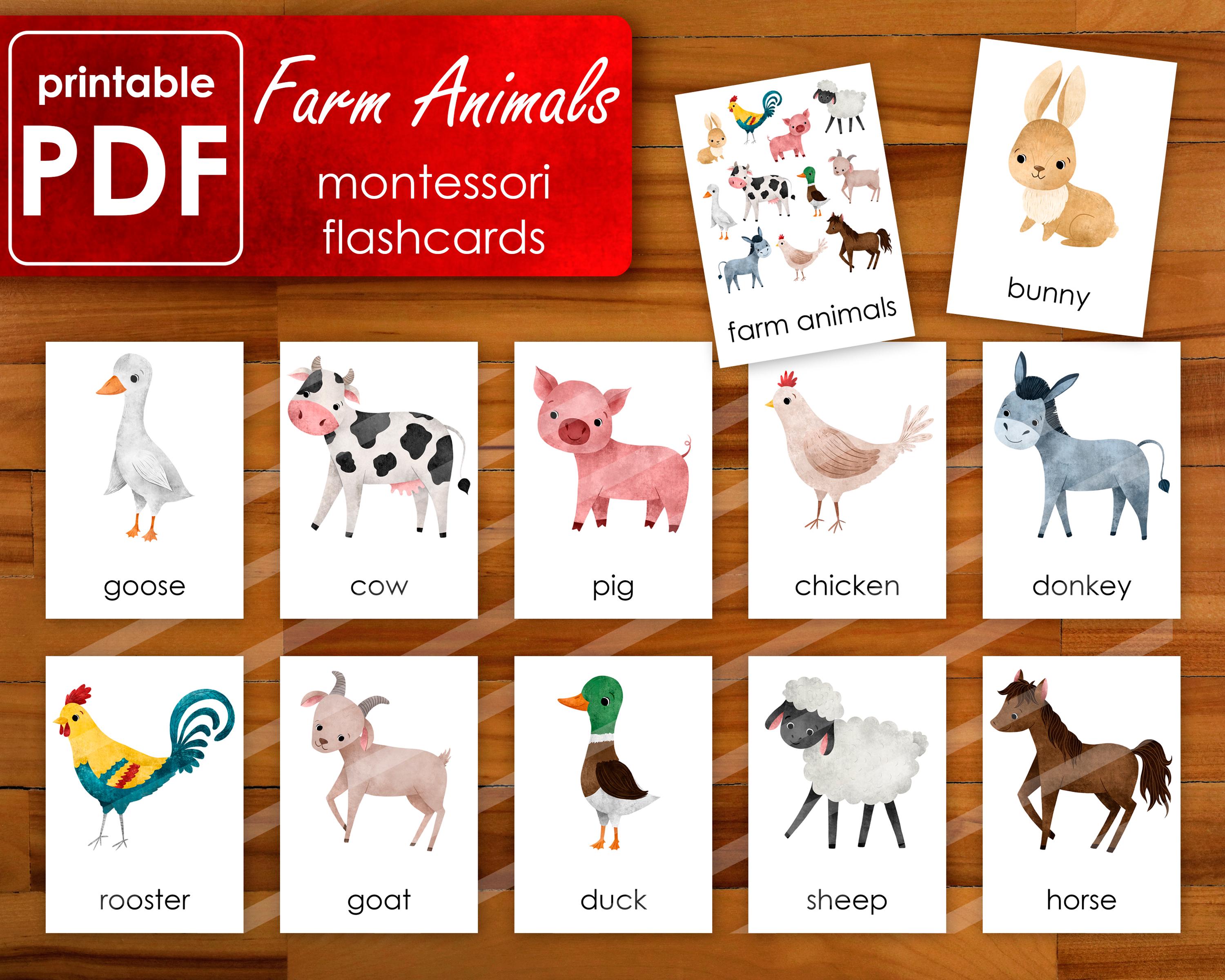 Farm Animals Flashcards | Montessori Nomenclature Cards | Three Part ...