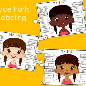 My Face Parts Printable Homeschool Activity for Kids | Toddler Science ...