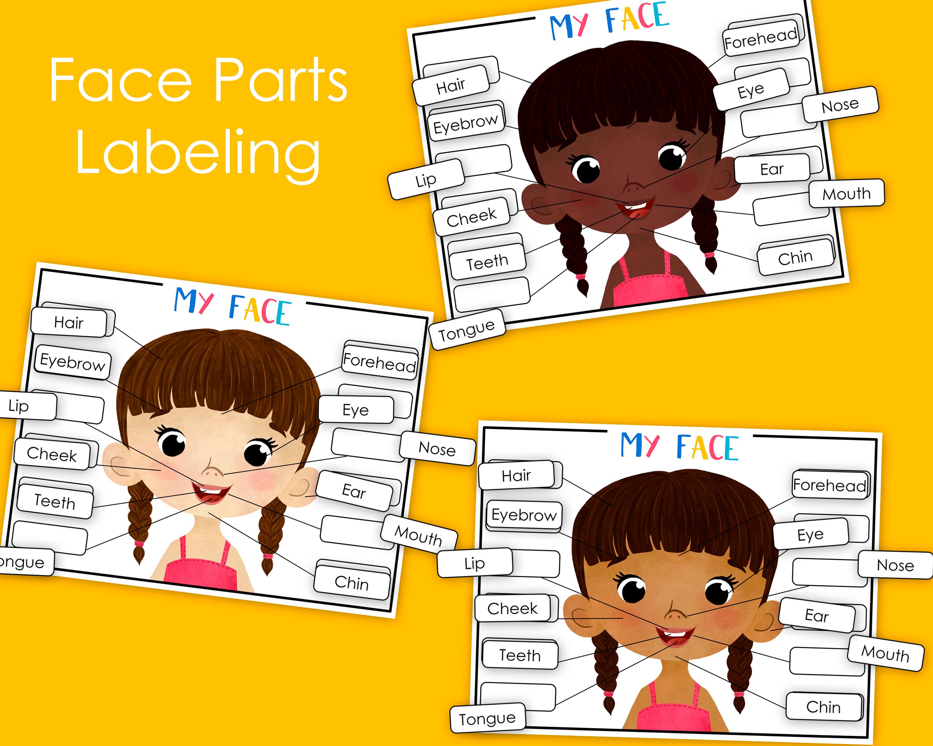My Face Parts Printable Homeschool Activity for Kids | Toddler Science ...