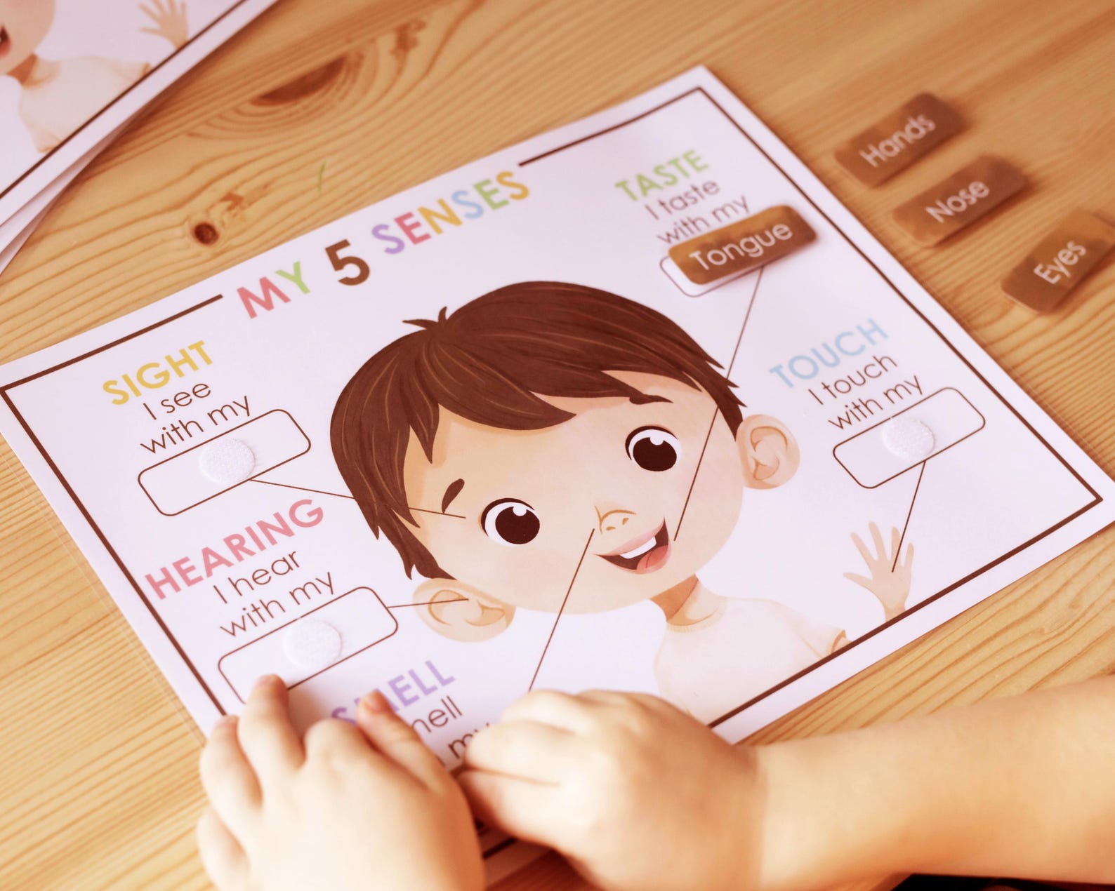 My 5 Senses Printable Pack | 5 Human Senses Preschool Learning Game ...