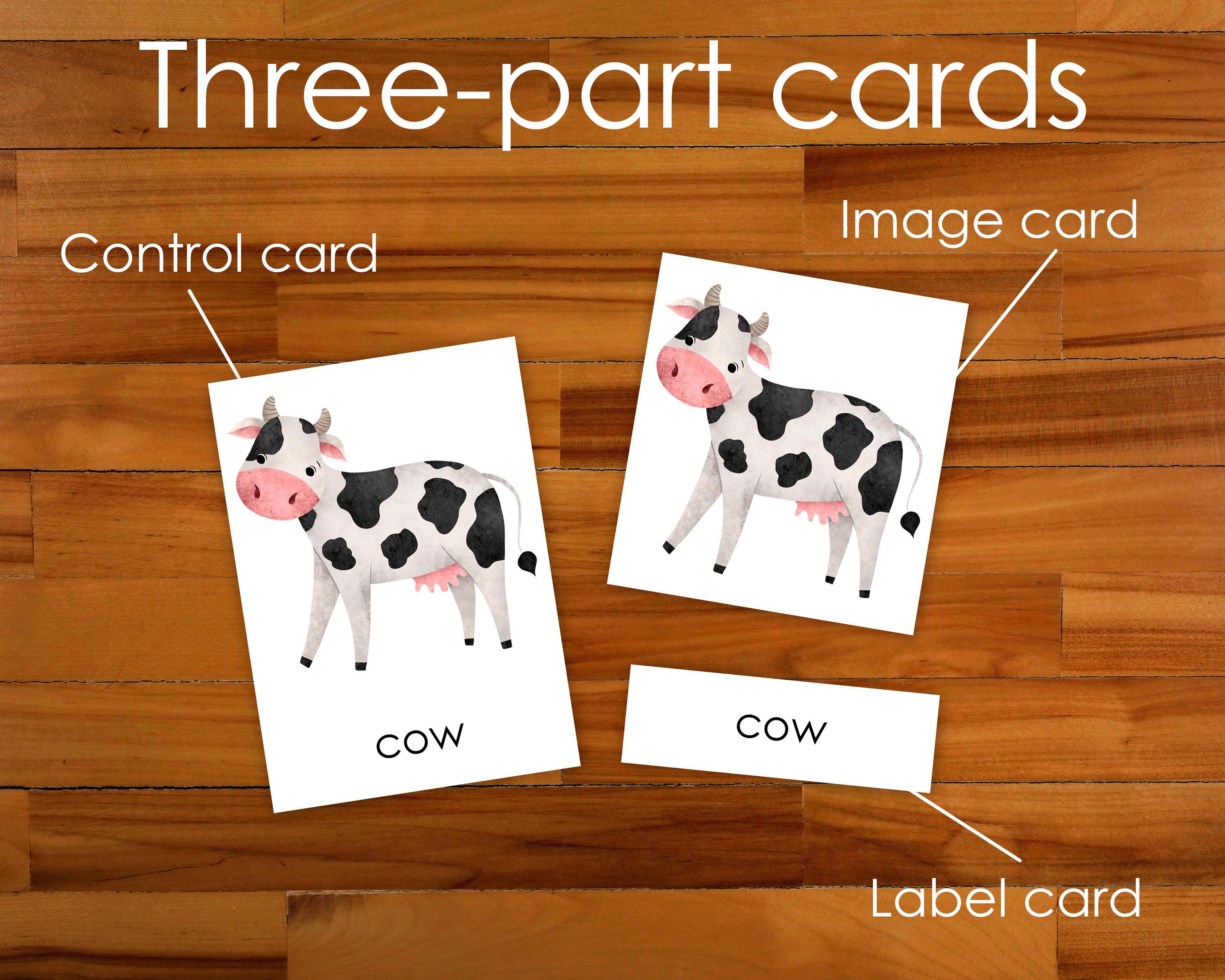 Farm Animals Flashcards | Montessori Nomenclature Cards | Three Part ...