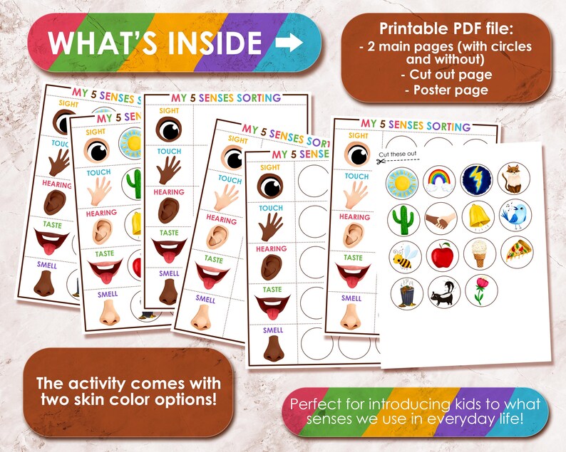 My 5 Senses Sorting Game | Printable Preschool Learning Folder ...