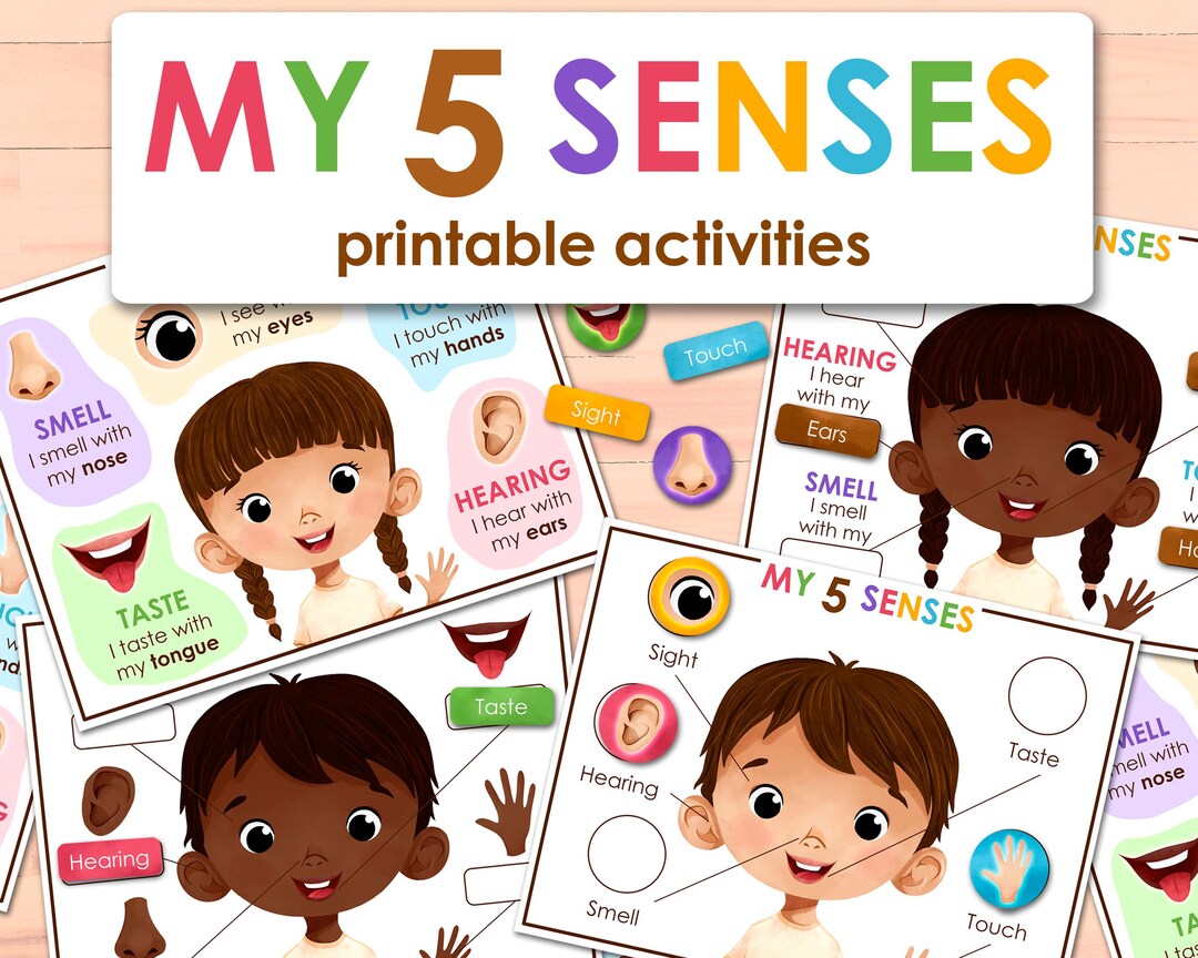 My 5 Senses Printable Pack | 5 Human Senses Preschool Learning Game ...