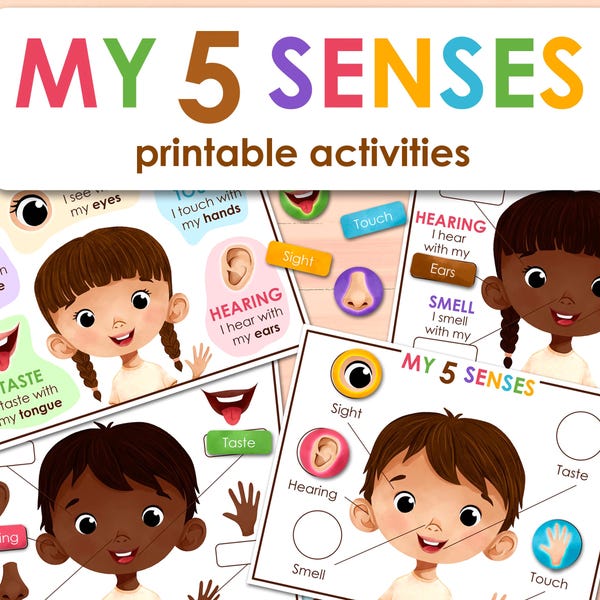 Preschool 5 Senses Match and Clip Cards/ Toddler Five Senses Activity ...