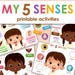 My 5 Senses Printable Pack | 5 Human Senses Preschool Learning Game ...