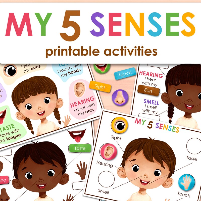 Five Senses Preschool - Etsy