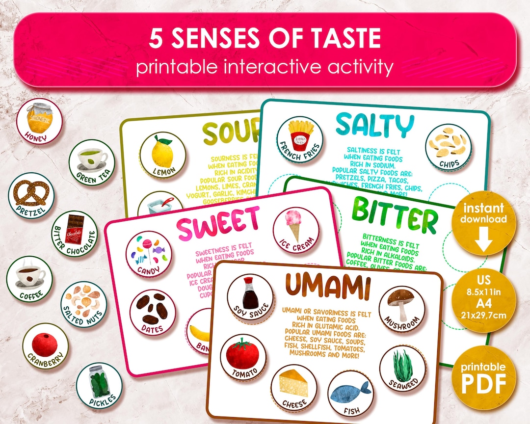5 Senses of Taste Sorting Activity | Homeschool Printable Worksheet ...