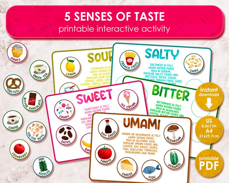 5 Senses of Taste Sorting Activity | Homeschool Printable Worksheet ...