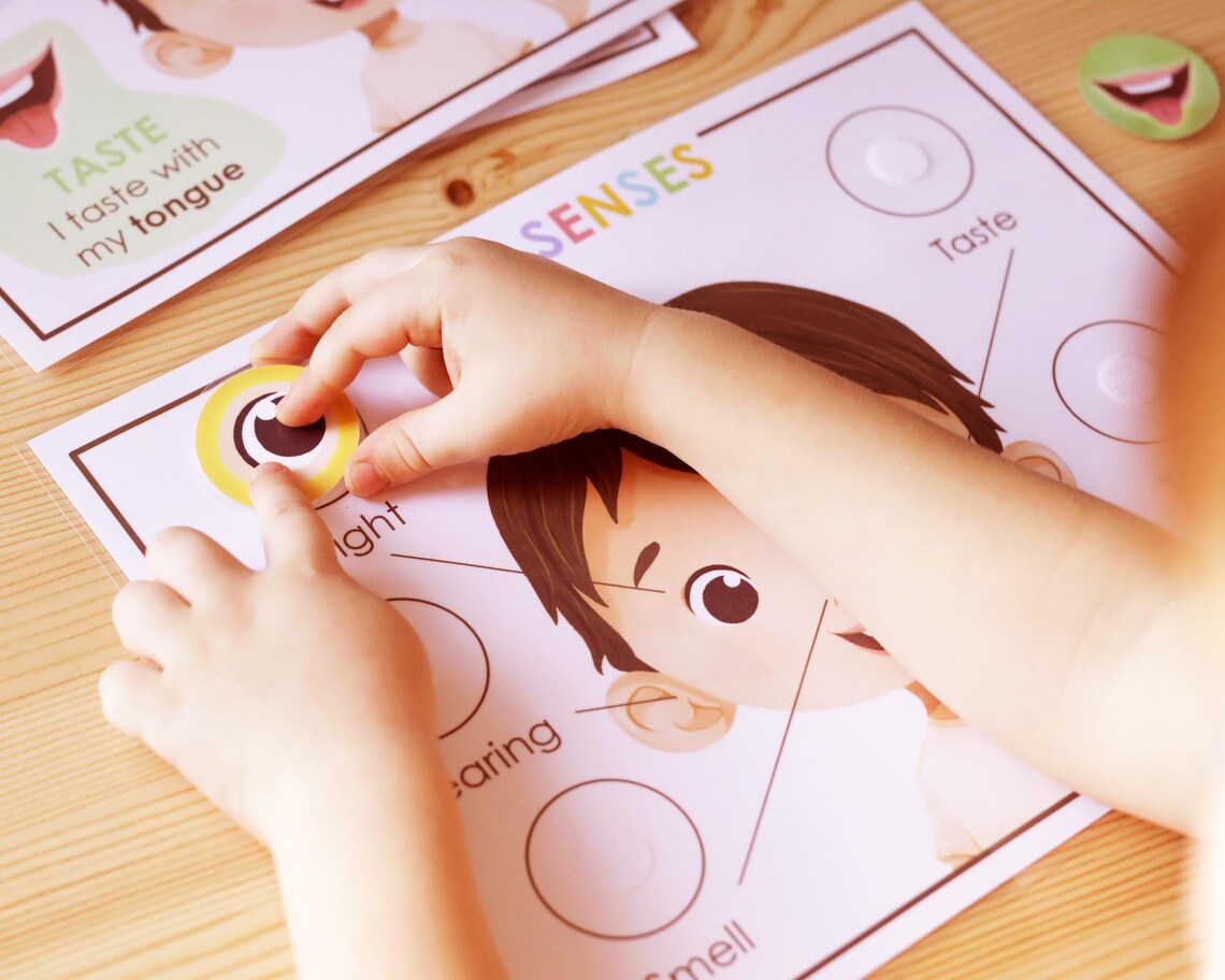 My 5 Senses Printable Pack | 5 Human Senses Preschool Learning Game ...