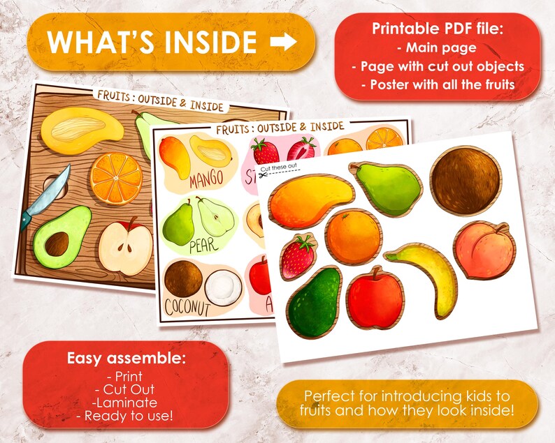 Fruits Outside and Inside Printable Activity | Busy Book Game for ...