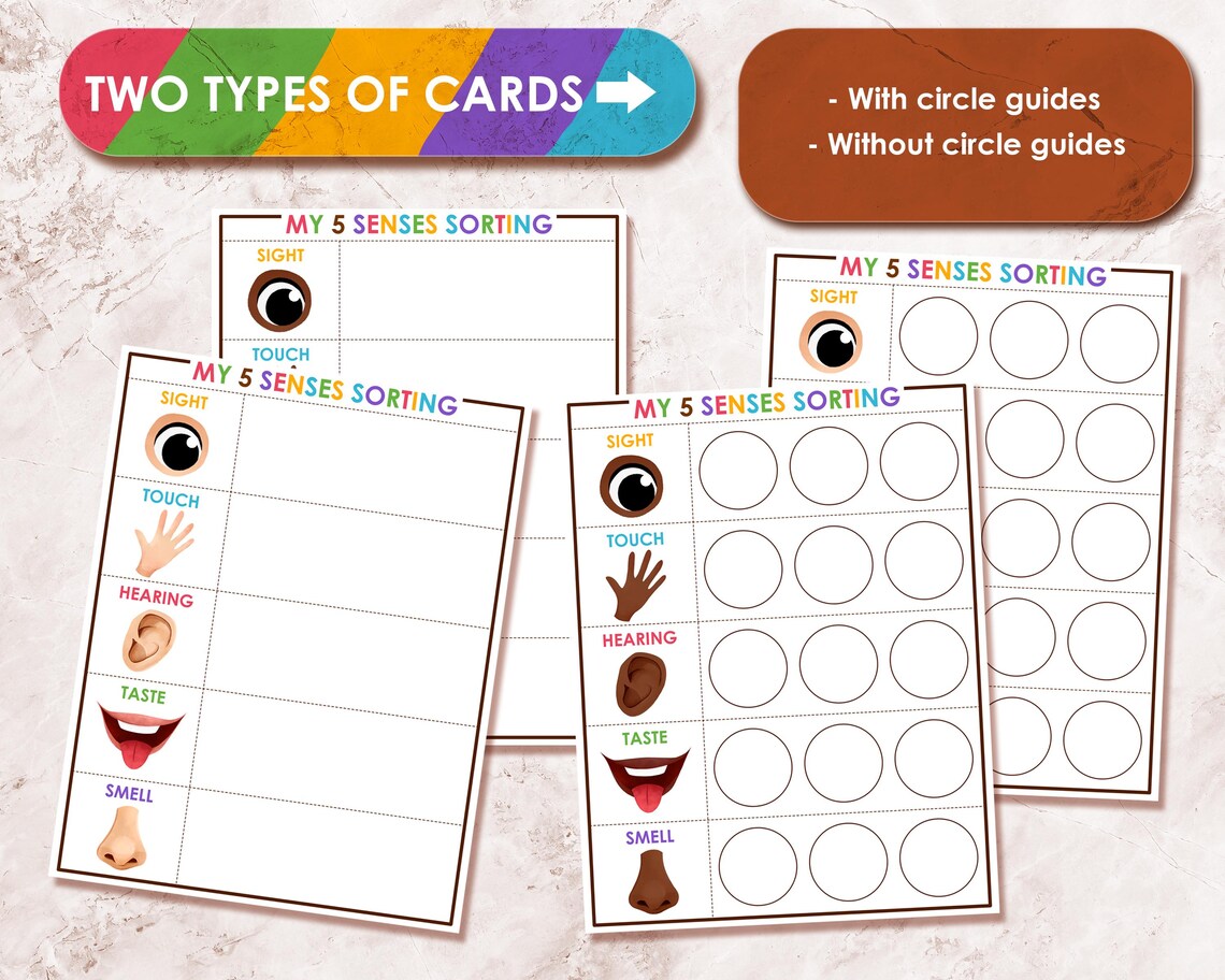 My 5 Senses Sorting Game | Printable Preschool Learning Folder ...