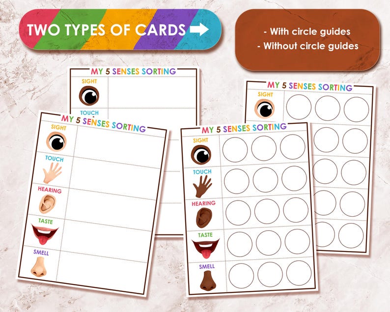 My 5 Senses Sorting Game | Printable Preschool Learning Folder ...