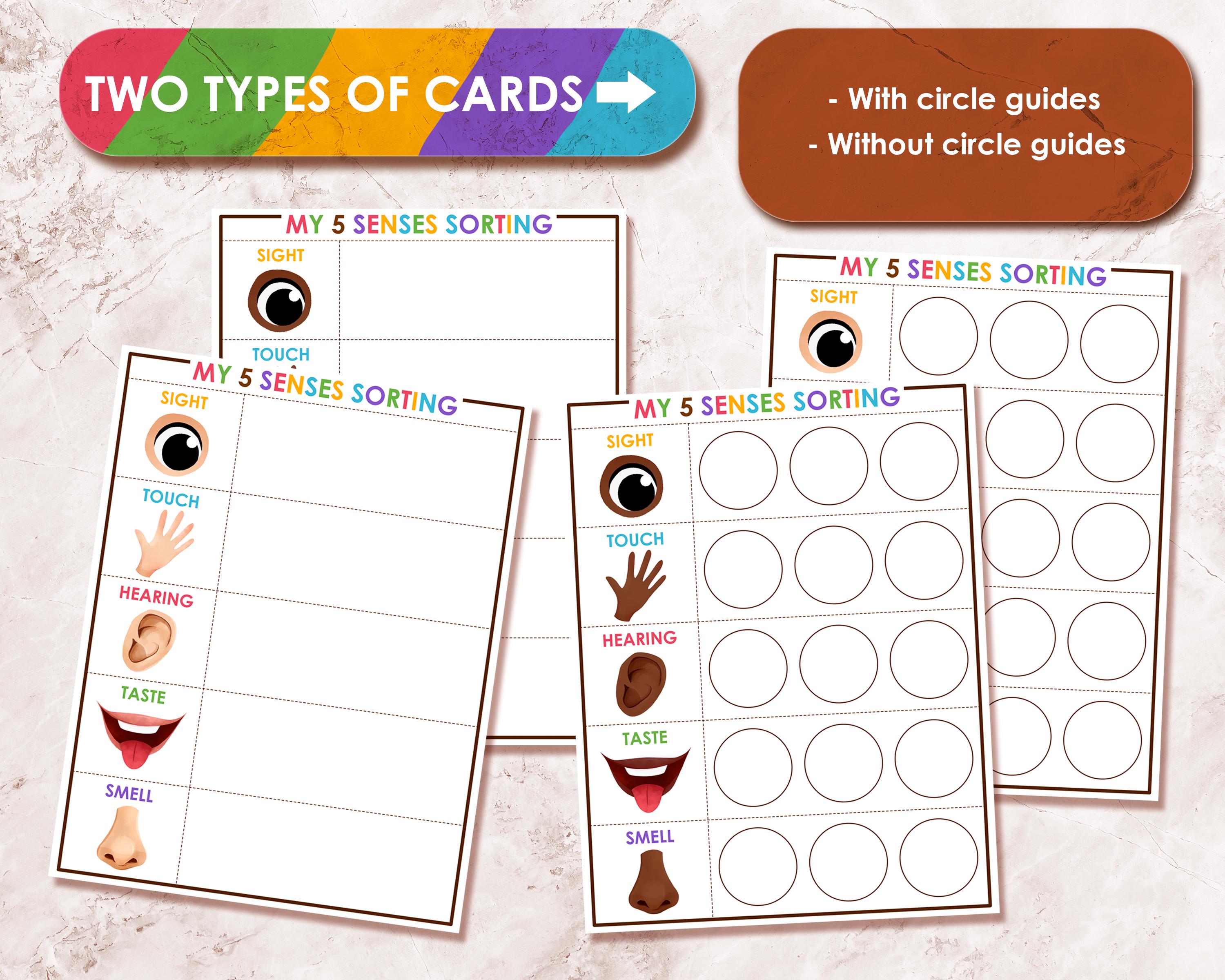My 5 Senses Sorting Game | Printable Preschool Learning Folder ...