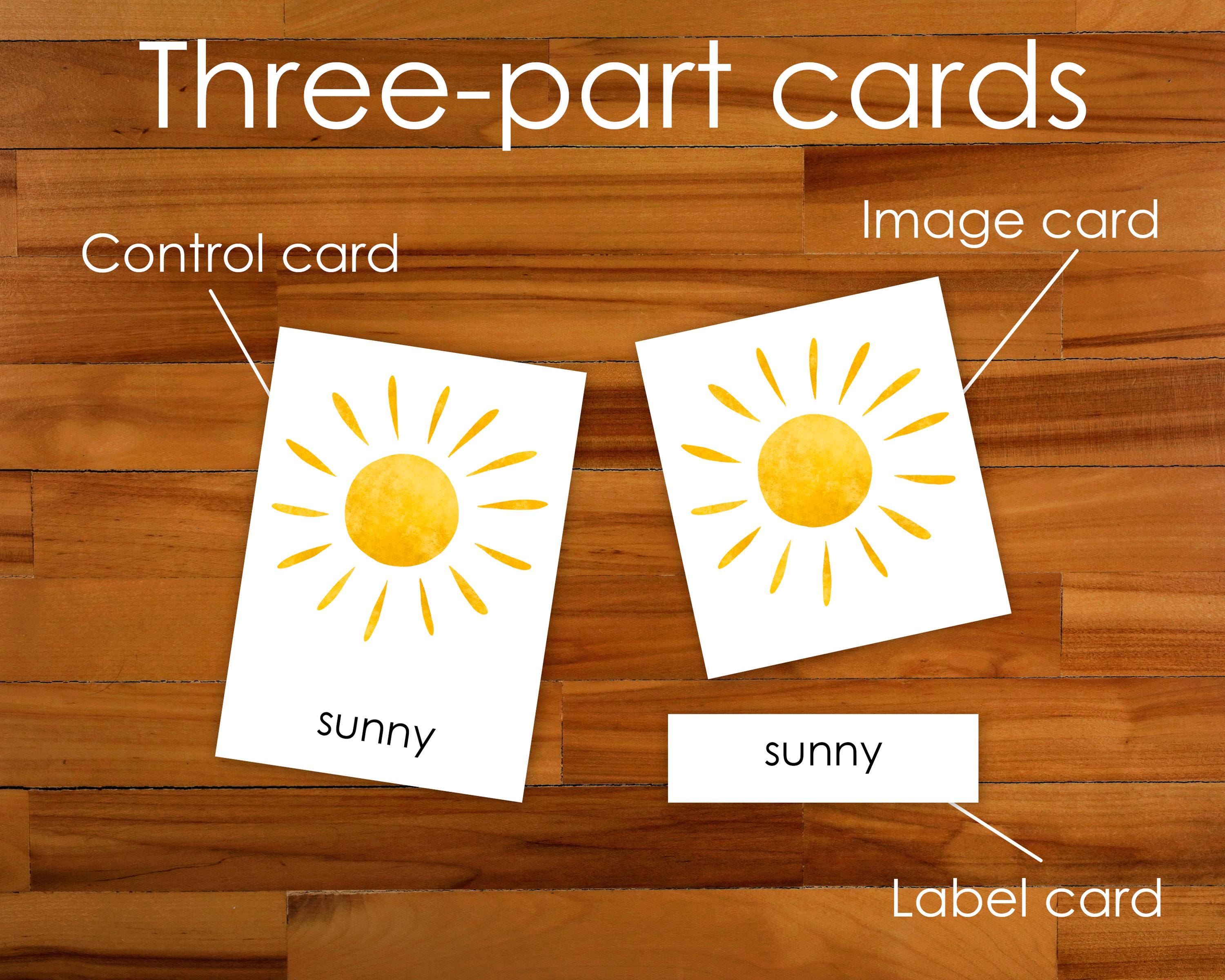 Weather Flashcards | Montessori Nomenclature Cards | Three Part Cards ...