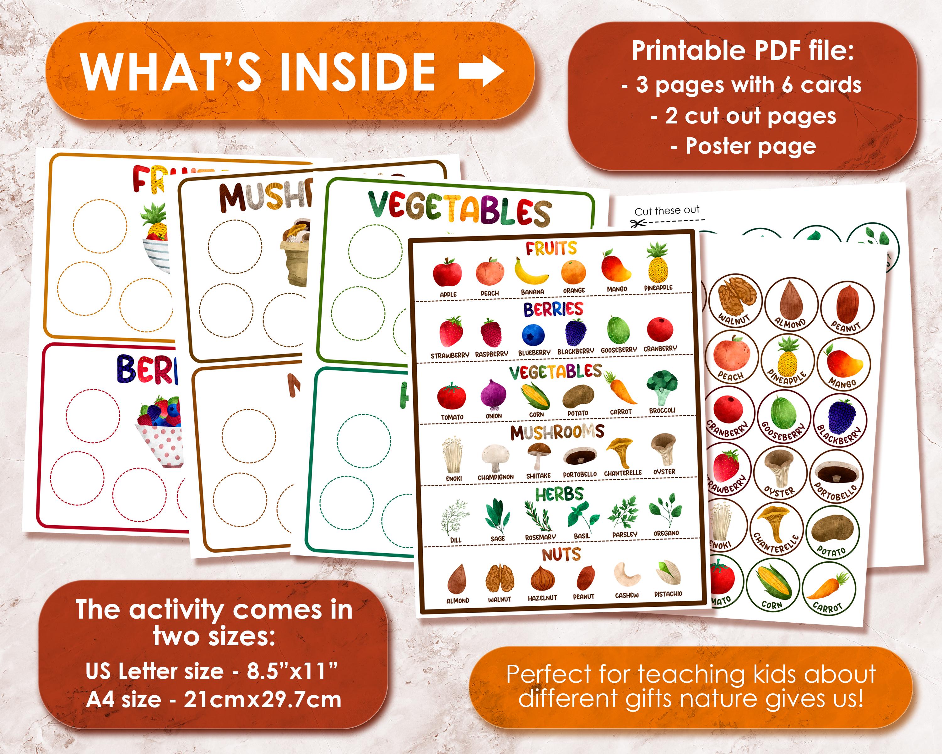 Gifts of Nature Food Groups Sorting Activity | Preschool Worksheet ...