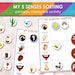 My 5 Senses Sorting Game | Printable Preschool Learning Folder ...