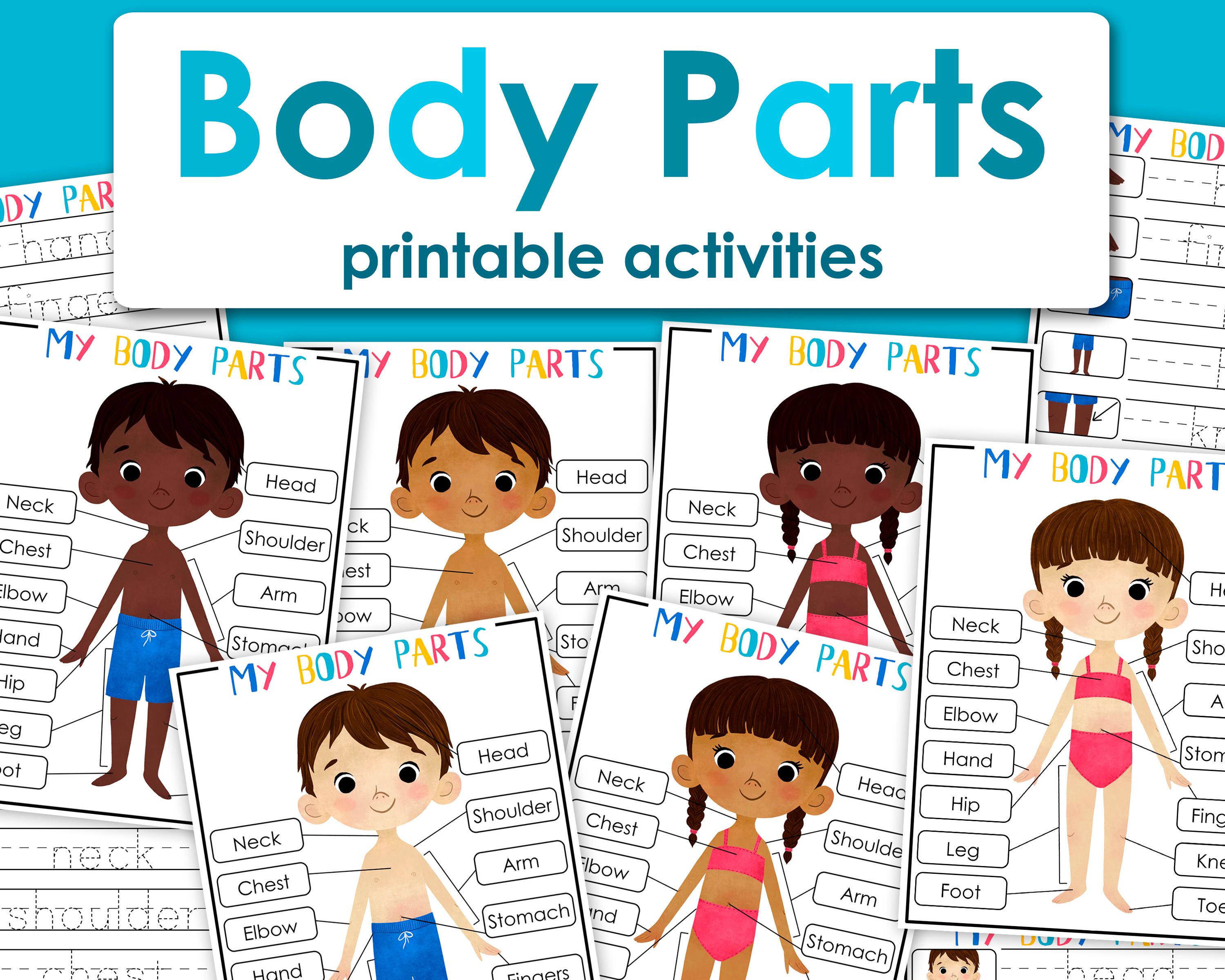 Body Parts Printable Preschool Activity | Toddler Busy Book Science ...