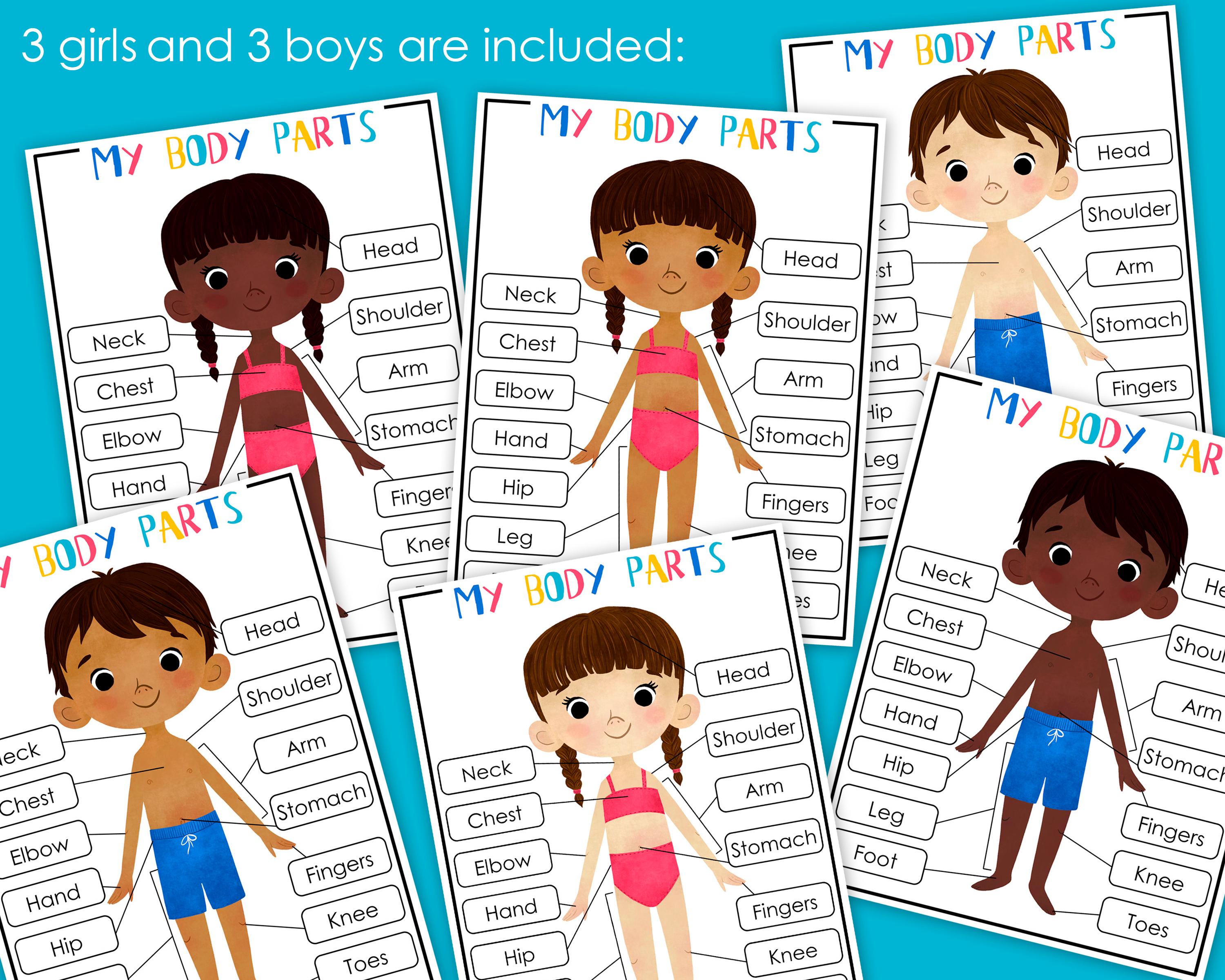 Body Parts Printable Preschool Activity | Toddler Busy Book Science ...